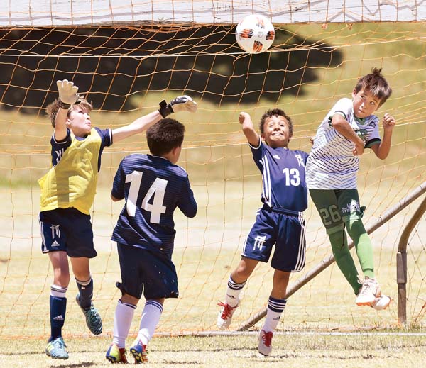 Champions crowned at No Ka Oi Tournament | News, Sports, Jobs - Maui News